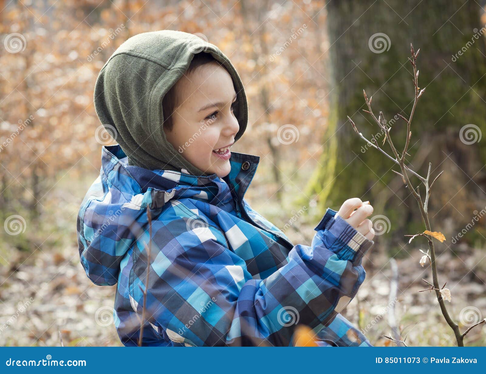 Child Exploring Spring Nature in Forest Stock Image - Image of learning ...