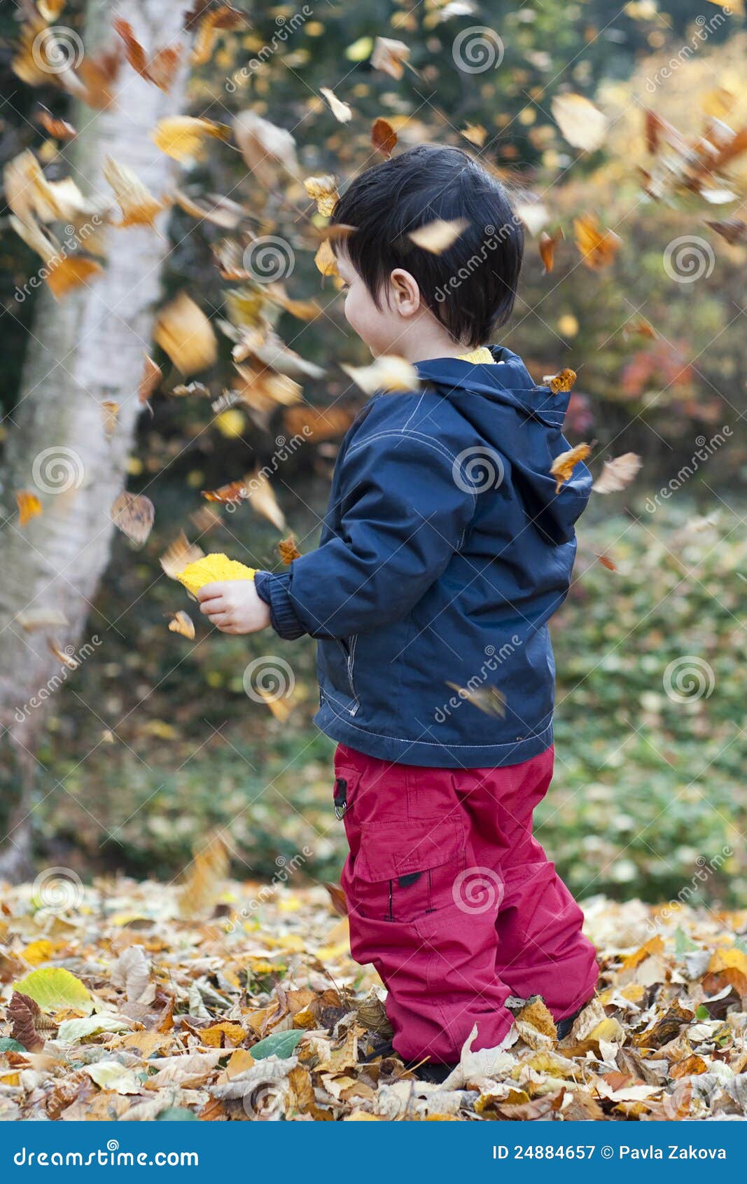 Child and falling leaves stock image. Image of kids, leaves - 24884657