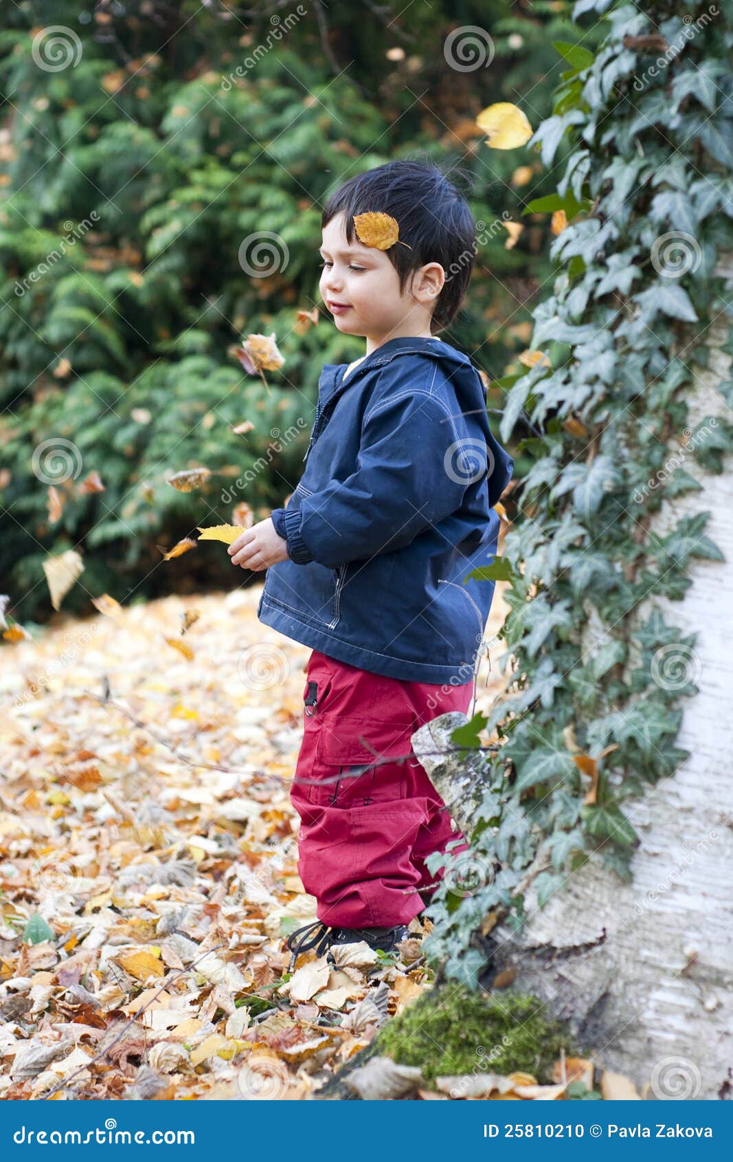 Child and falling leaves stock photo. Image of outdoors - 25810210