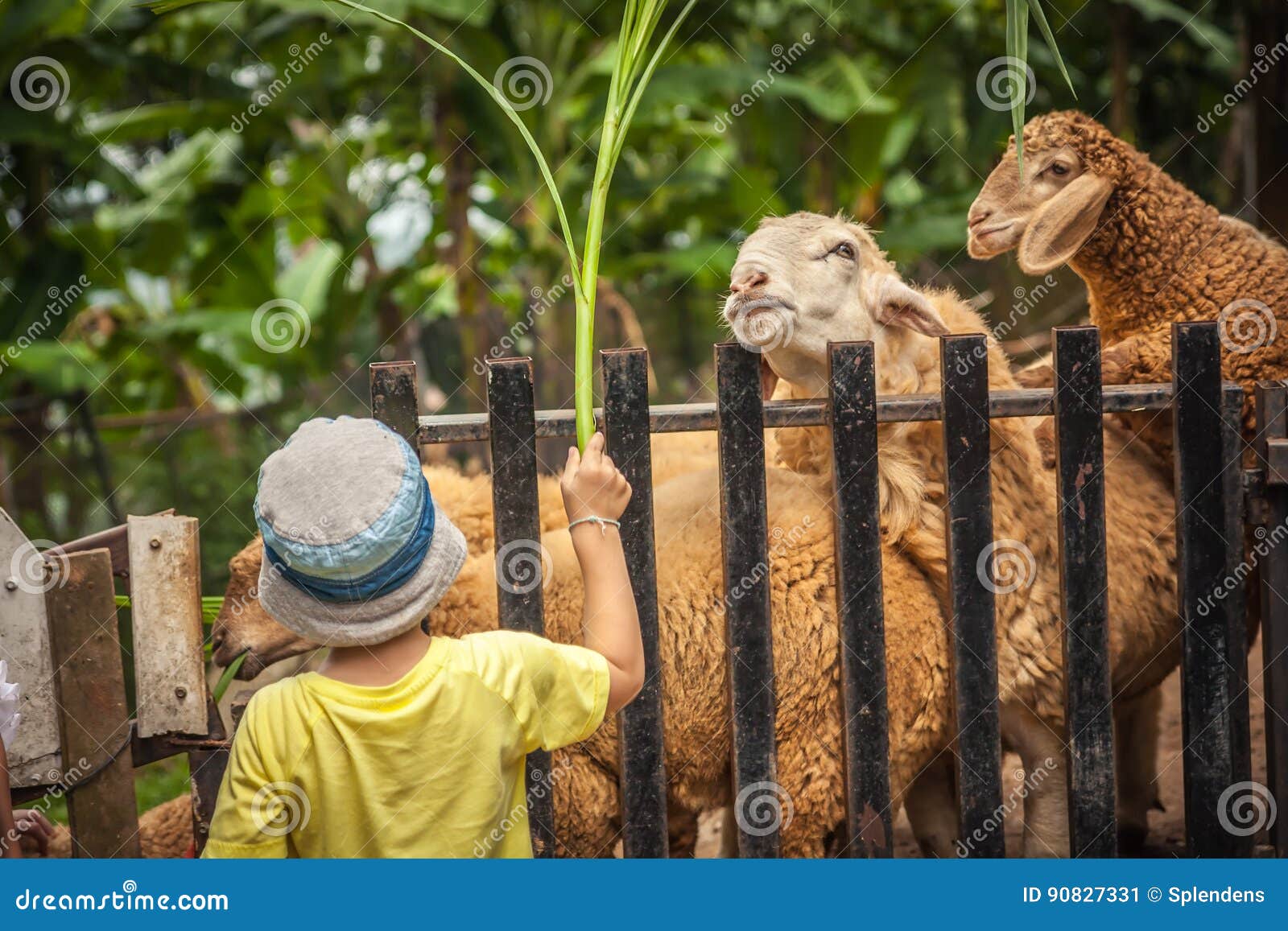 Child Farmer In The Farm With Countryside Background. Happy Little ...