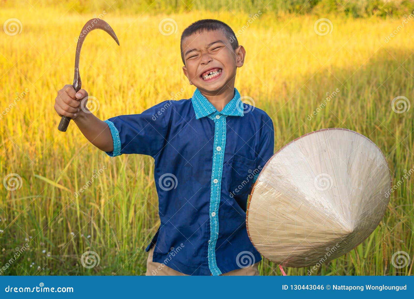 Child Farmer is Harvesting Rice. Stock Photo - Image of landscape ...