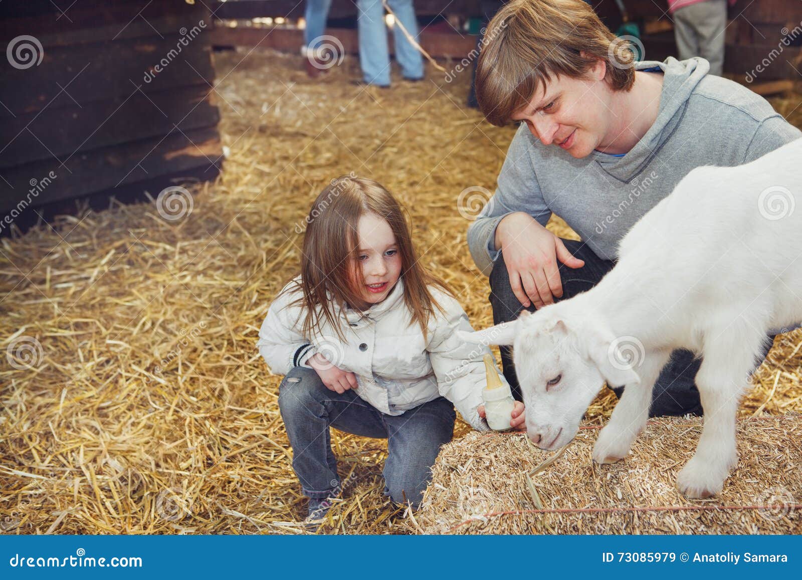 Child and Father Taming a Goat Kid Stock Image - Image of mammal, farm ...