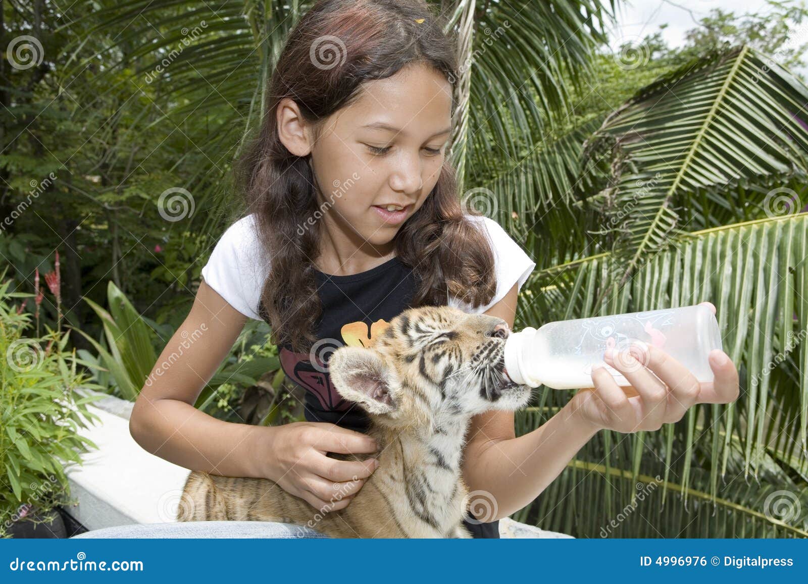 Child feeding baby tiger stock photo. Image of coat, food - 4996976