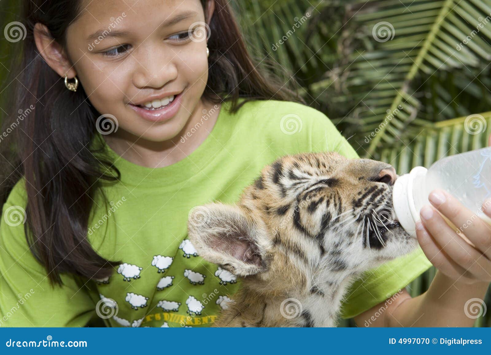 Child feeding baby tiger stock photo. Image of food, child - 4997070