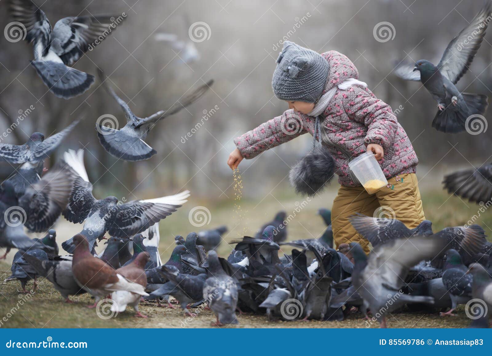 Cow With Pigeons Royalty-Free Stock Photography | CartoonDealer.com ...