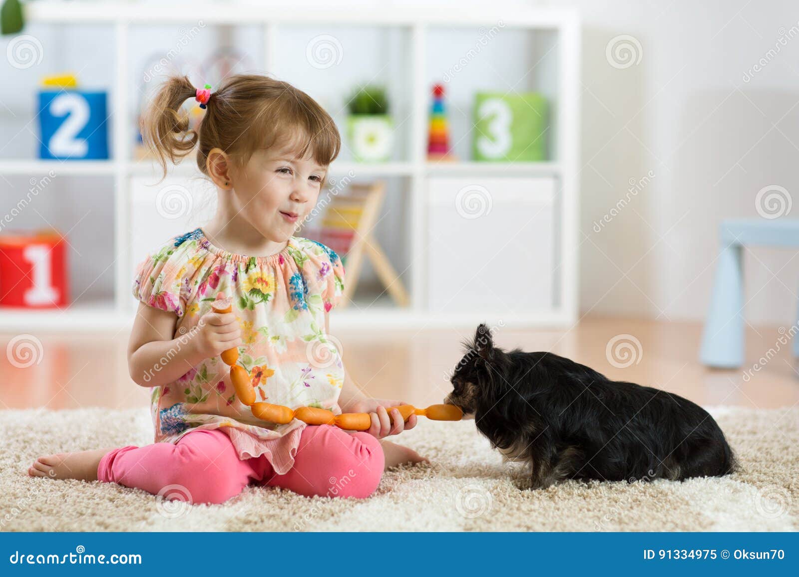 Child feeding dog stock image. Image of obedience, mimics - 91334975