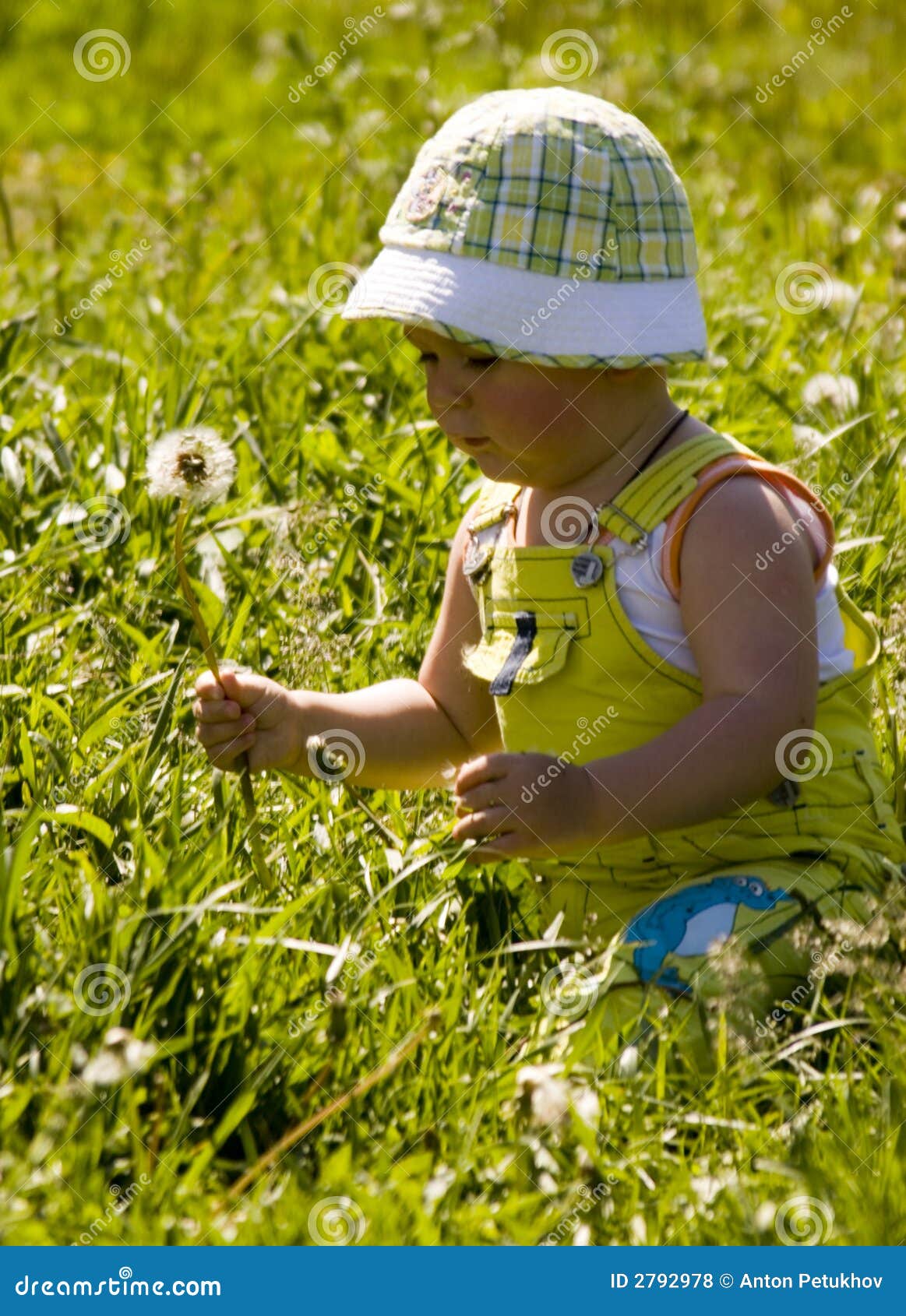 Child Picking Flowers in Field Stock Photo - Image of child, picking ...
