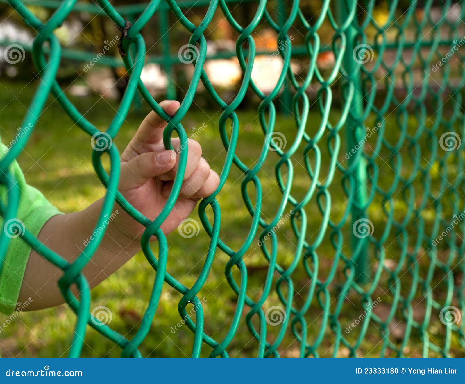Child Finger On Fence Stock Photography | CartoonDealer.com #23333180