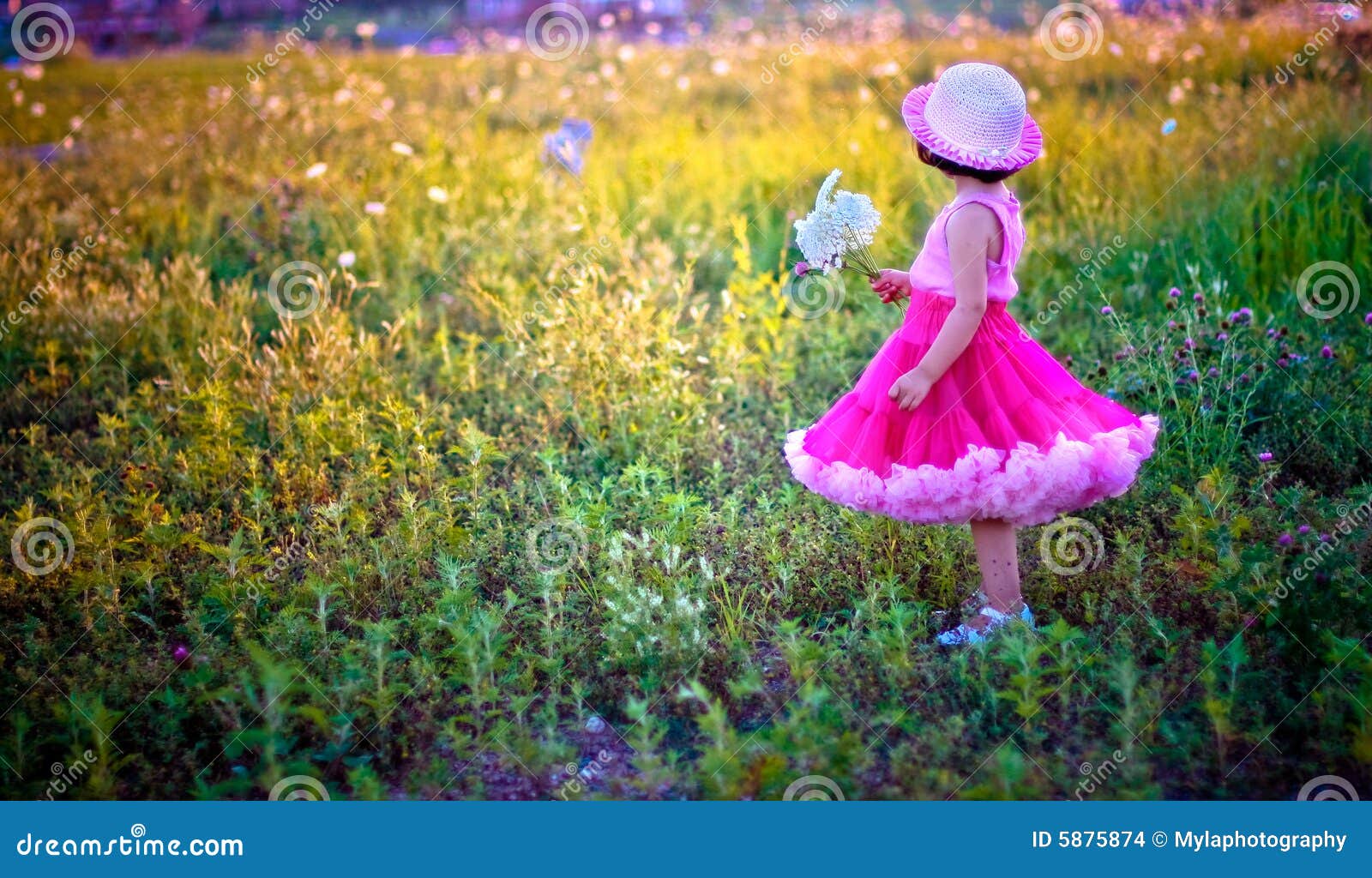 Child in a flower field stock photo. Image of laugh, childhood - 5875874