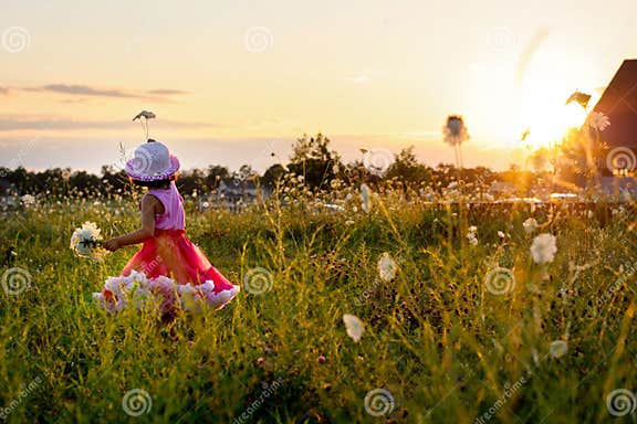 Child in a flower field stock photo. Image of childhood - 5876042