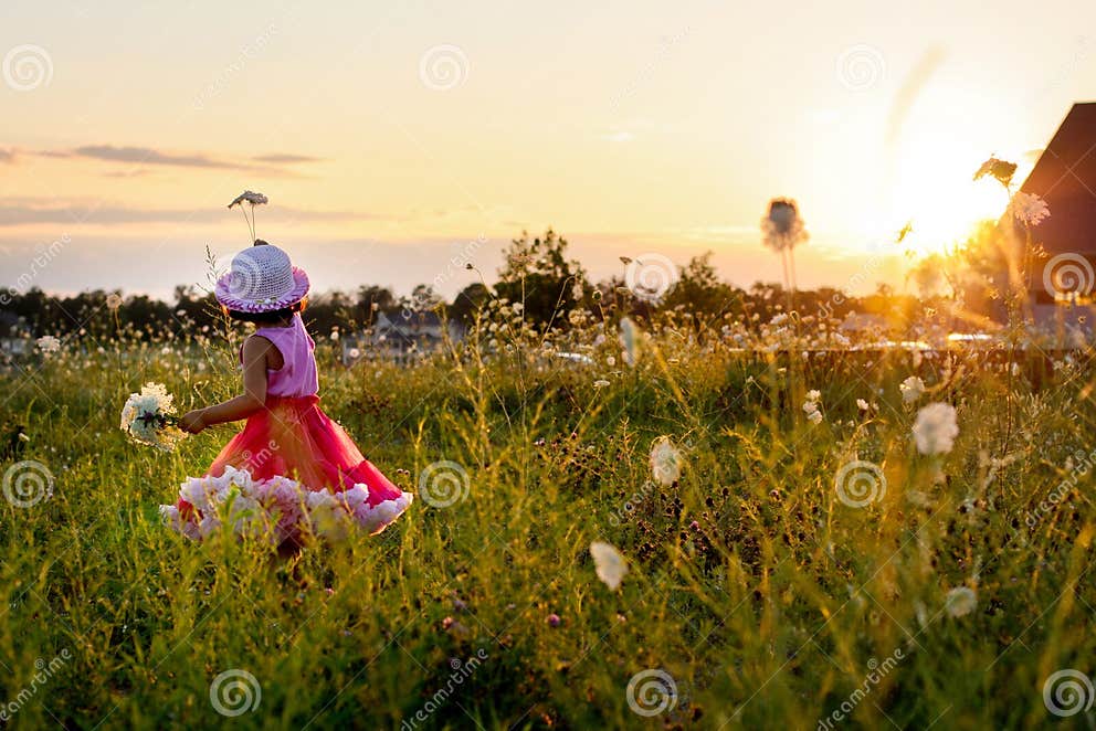 Child in a flower field stock photo. Image of childhood - 5876042