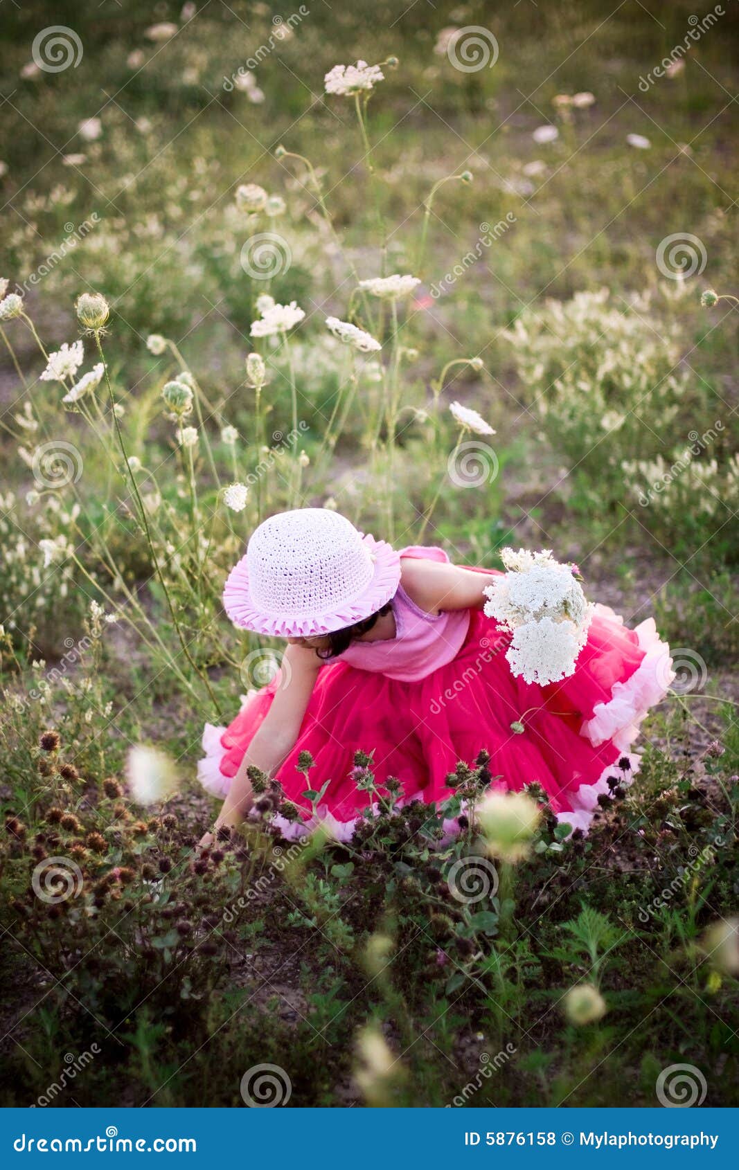 Child in a flower field stock photo. Image of flora, dandelions - 5876158