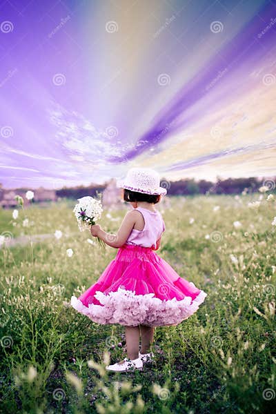 Child in a flower field stock photo. Image of colorful - 5917206