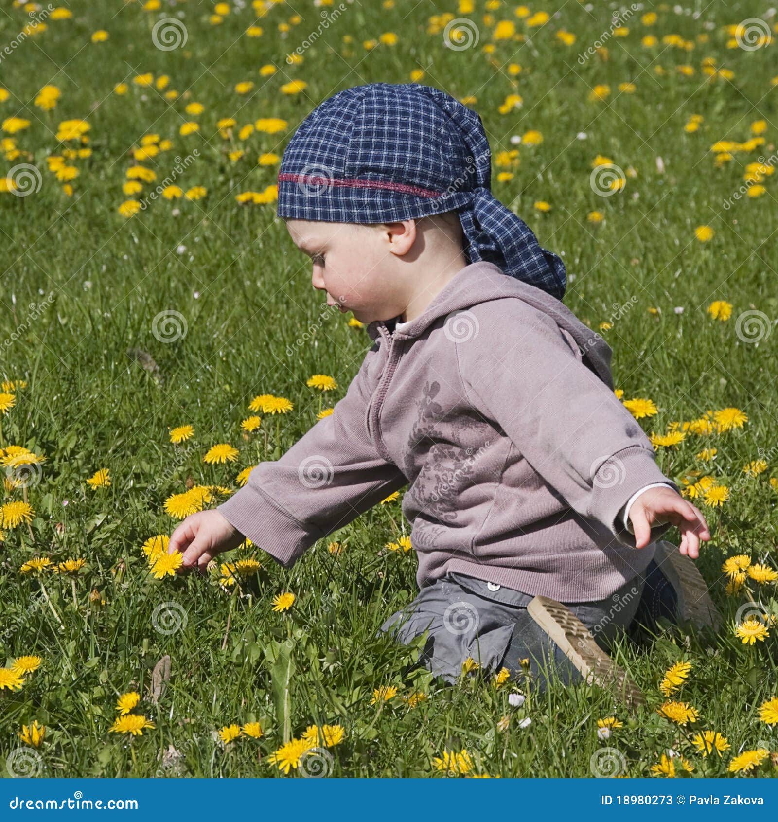 Child in flowers stock image. Image of flower, nature - 18980273