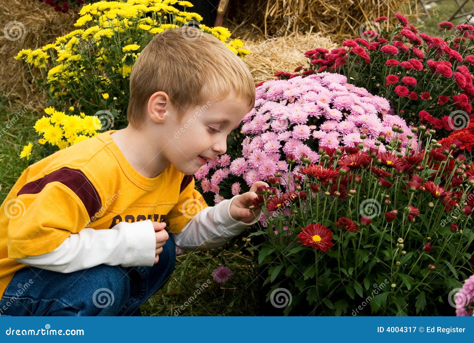 Child with flowers stock image. Image of flowers, preschool - 4004317