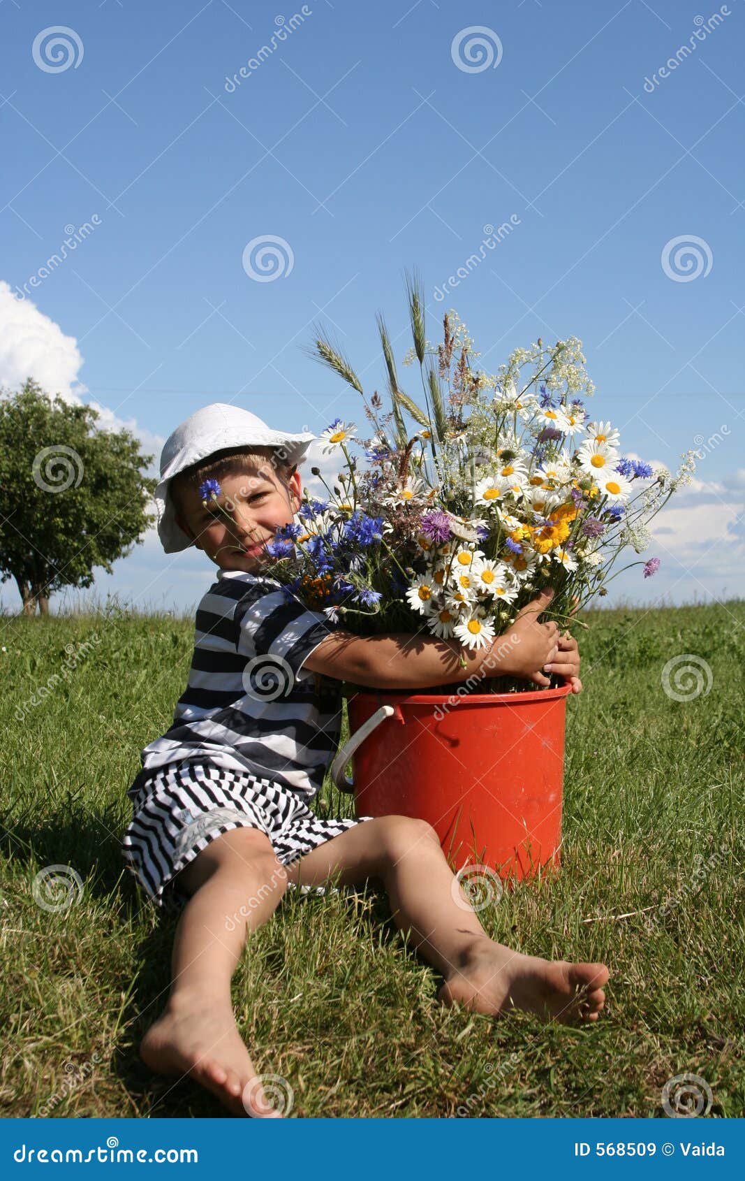 Child and Flowers stock image. Image of colourful, field - 568509