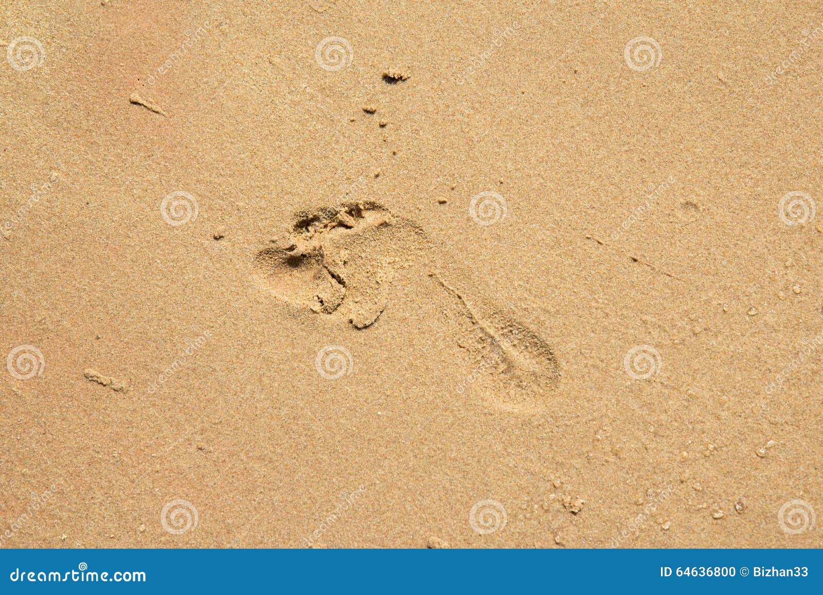 Child foot step on sand stock photo. Image of desert - 64636800
