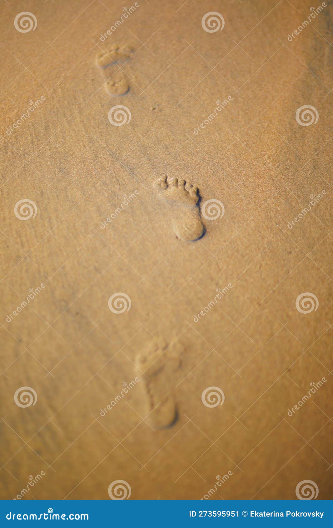 Child Footprints in the Sand on a Beach Stock Image - Image of peaceful ...