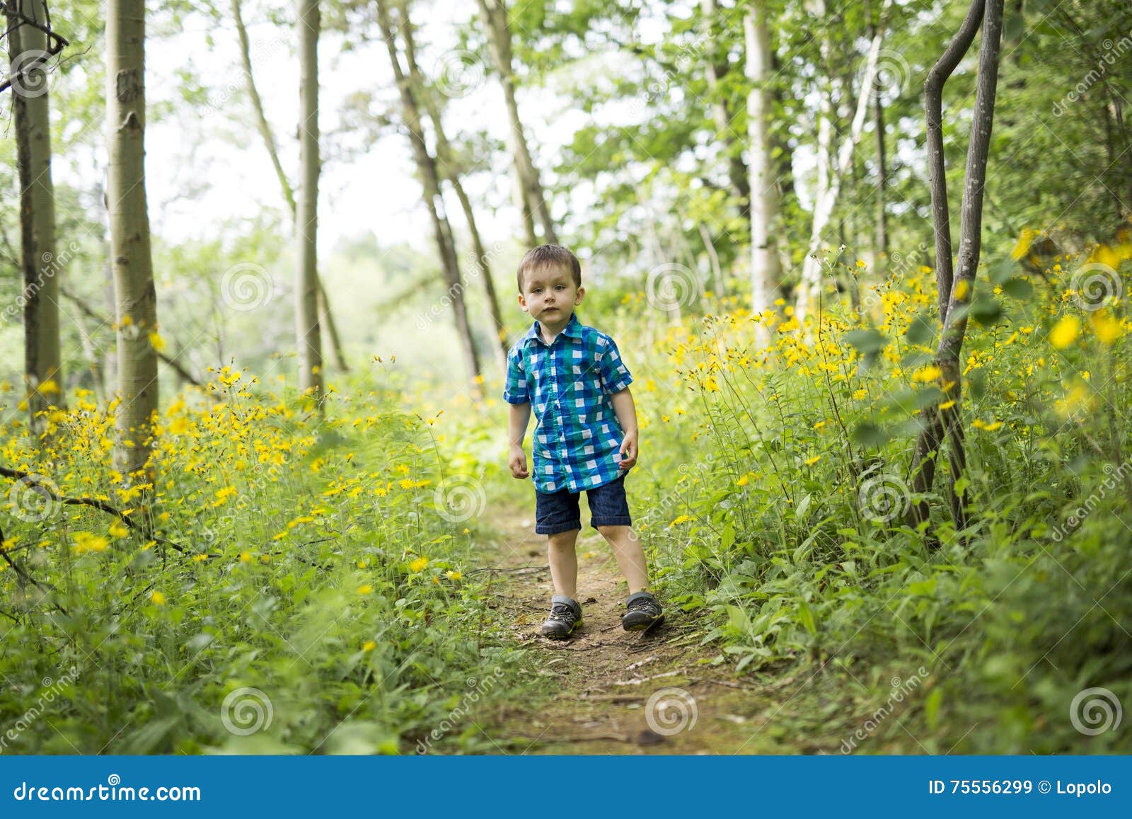 Child in the Forest Having Fun Stock Image - Image of caucasian, cute ...