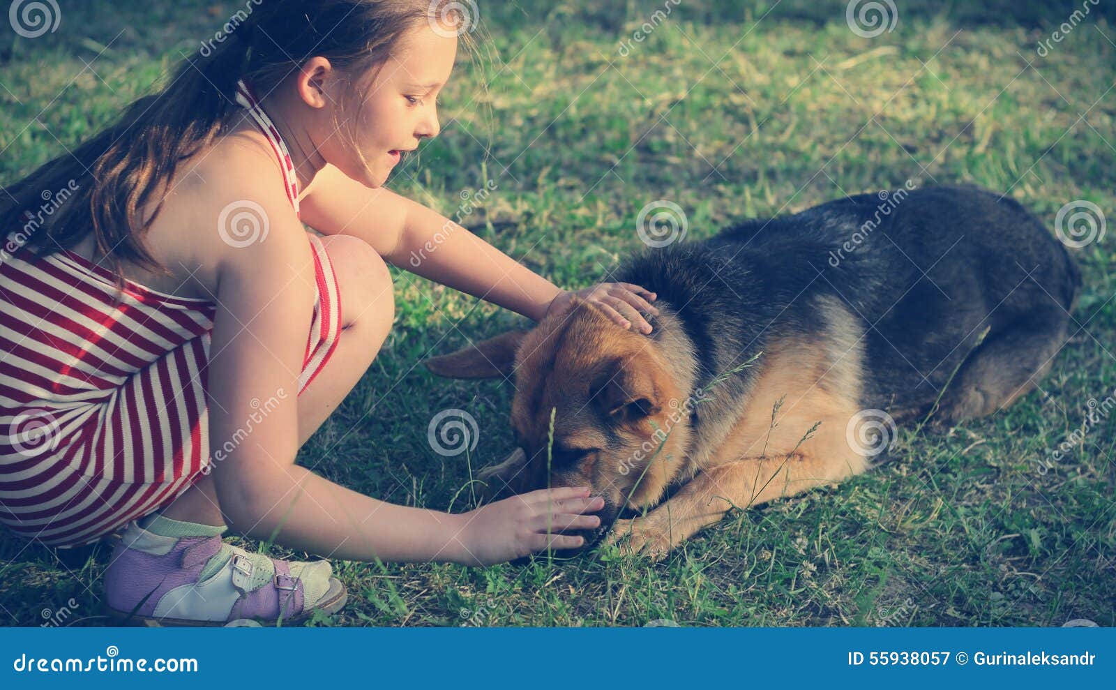 Child and German Shepherd stock image. Image of portrait - 55938057