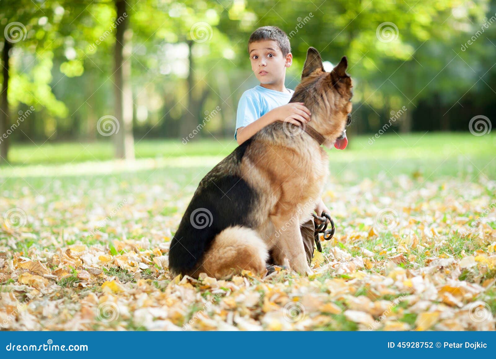 Child with a German Shepherd Dog in the Park Stock Photo - Image of ...