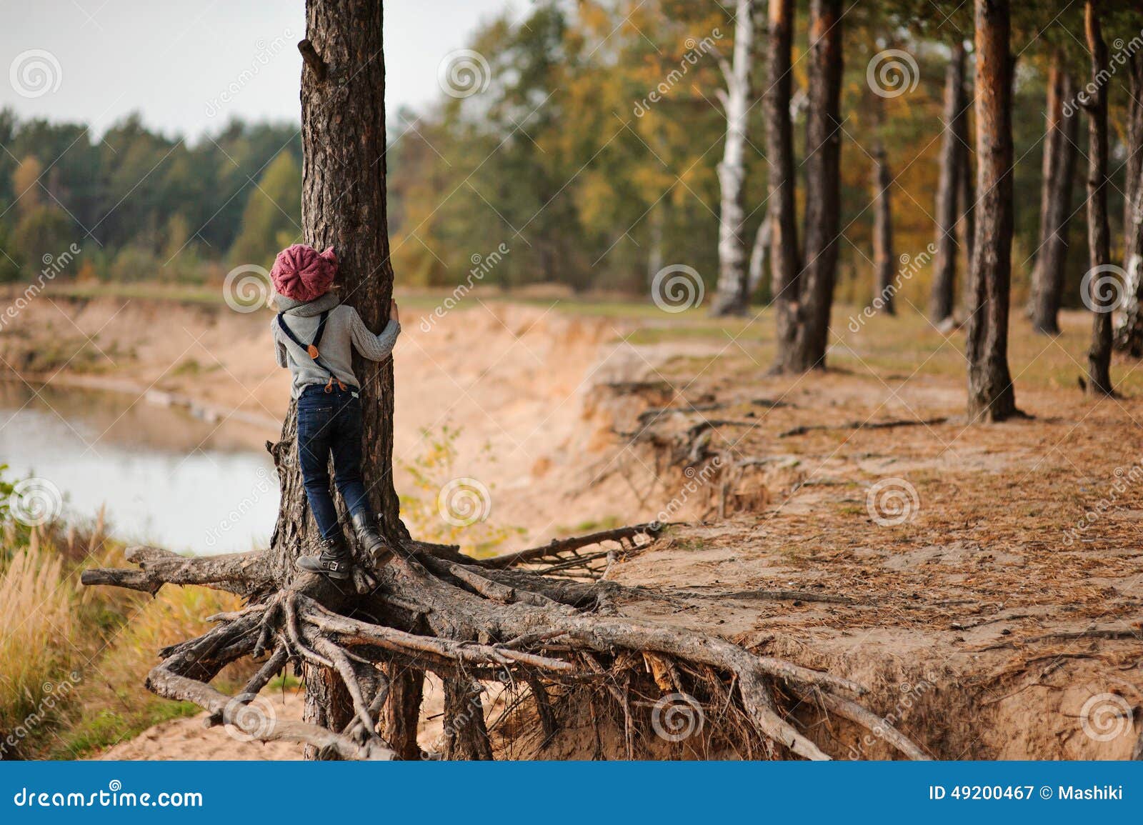 Child Girl Climbing Old Pine Tree on the Walk on River Side Stock Image ...