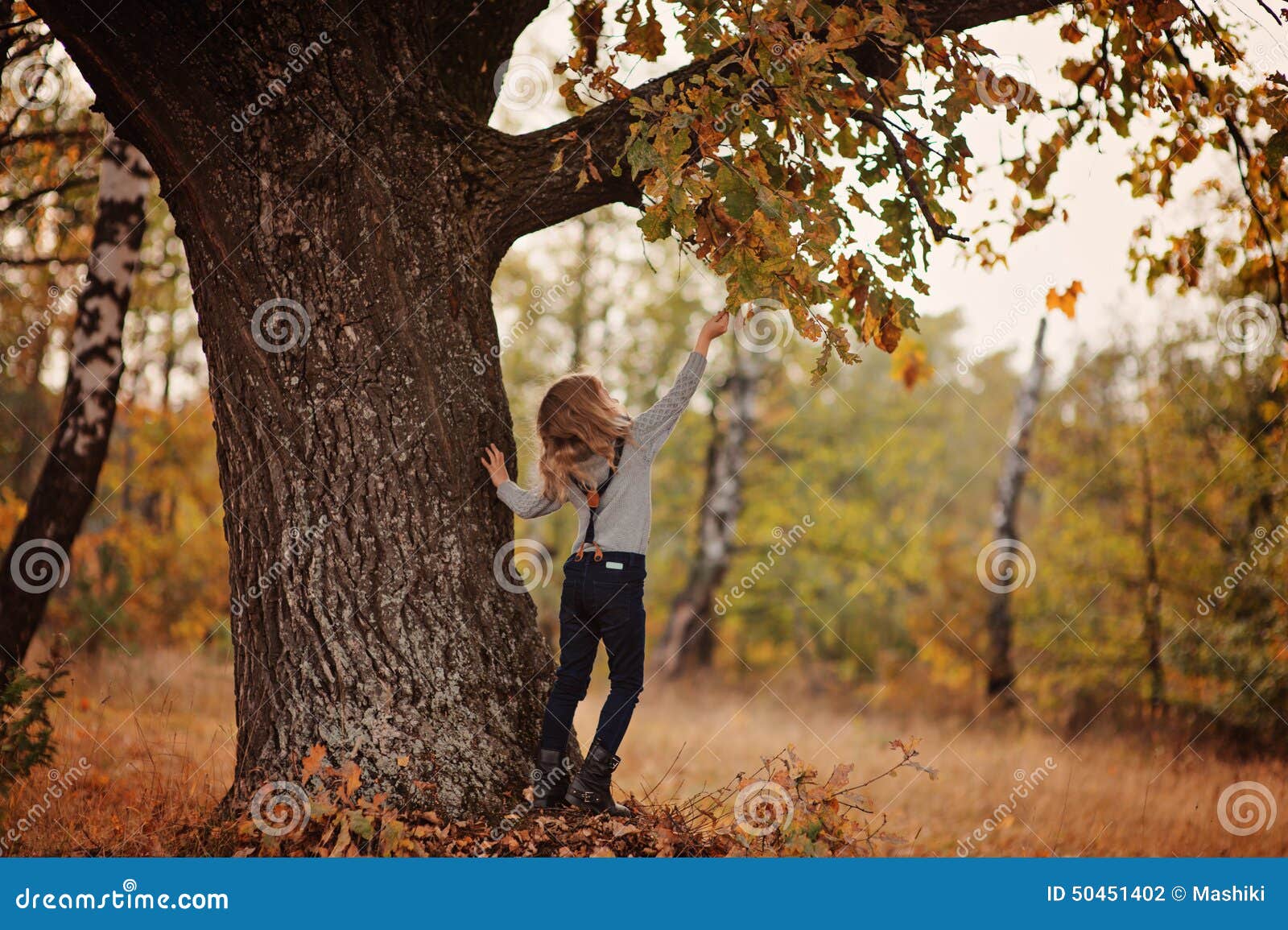Child Girl Playing with Oak Tree on the Walk Stock Photo - Image of ...