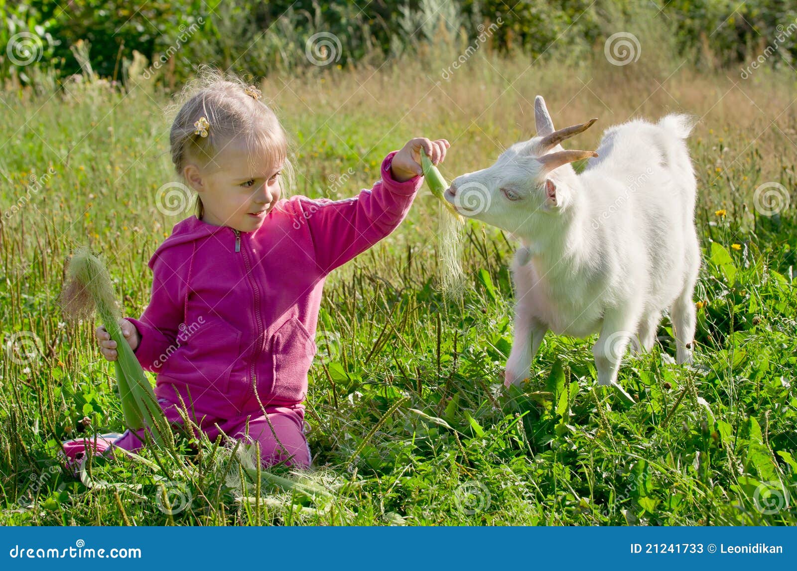 A child with a goat stock image. Image of funny, hungry - 21241733