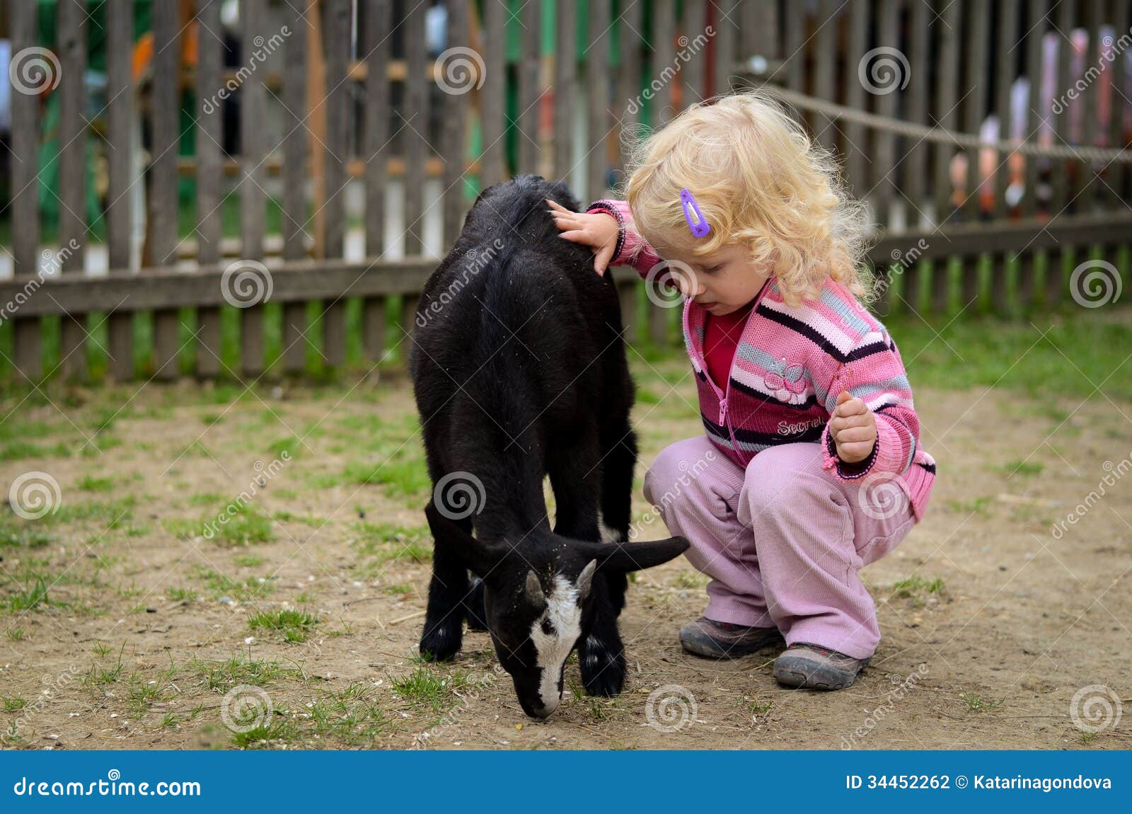 Child and the goat stock photo. Image of empathy, close - 34452262
