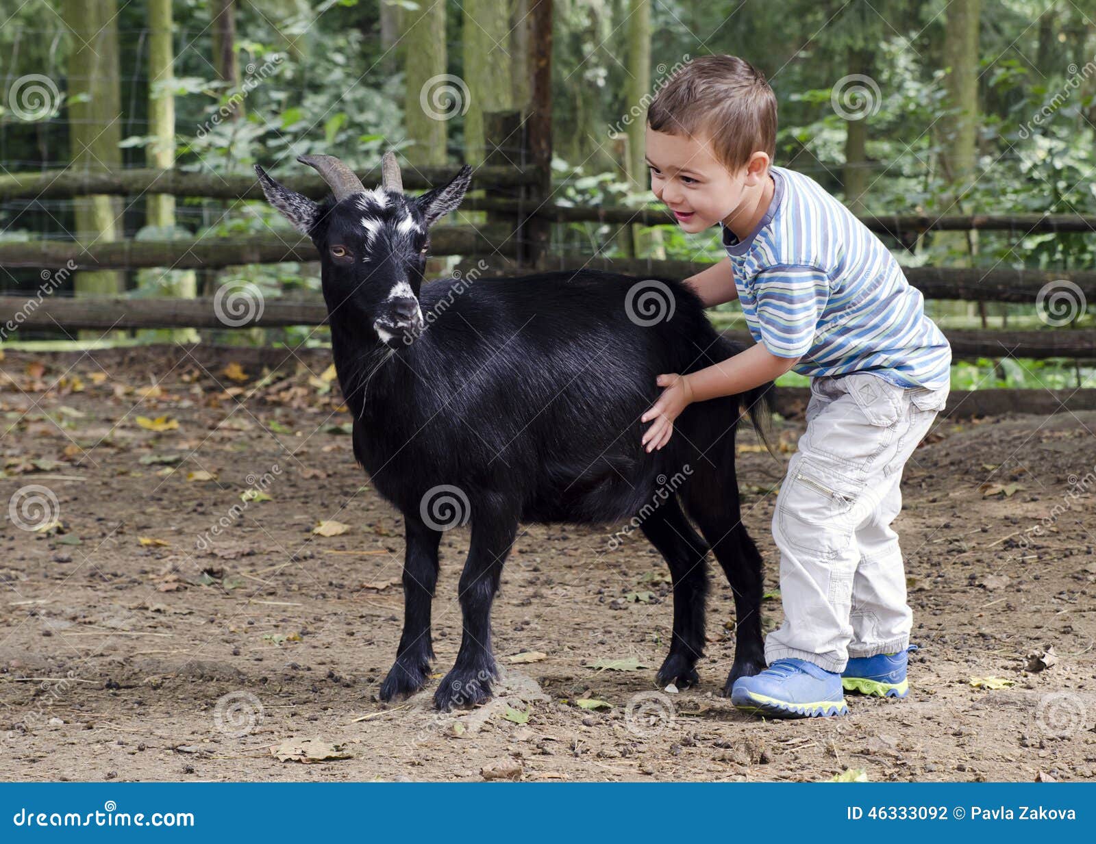 Child with a goat stock photo. Image of enclosure, white - 46333092