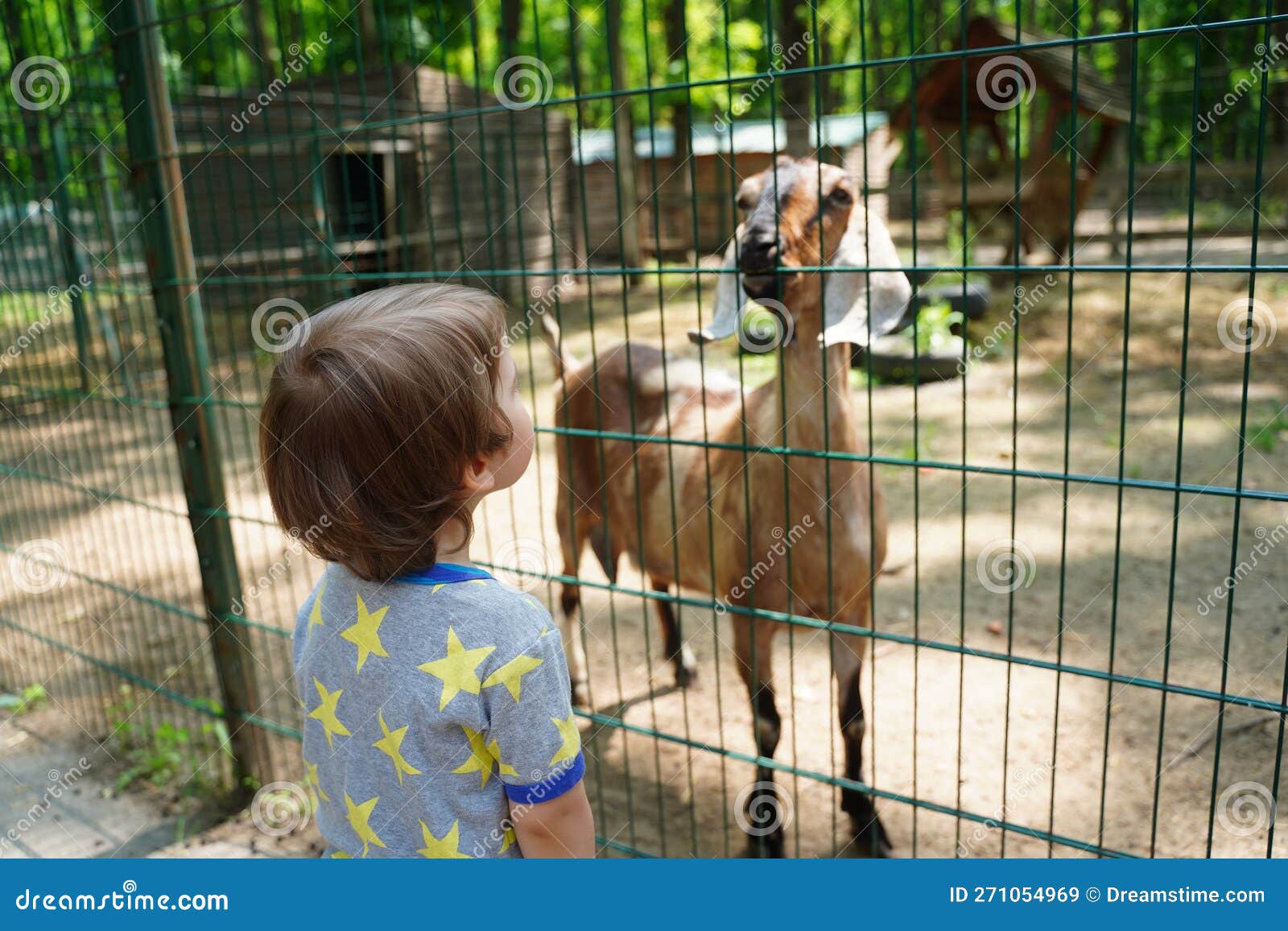 A Child and a Goat in the Zoo are Close-up, Rear View Stock Image ...