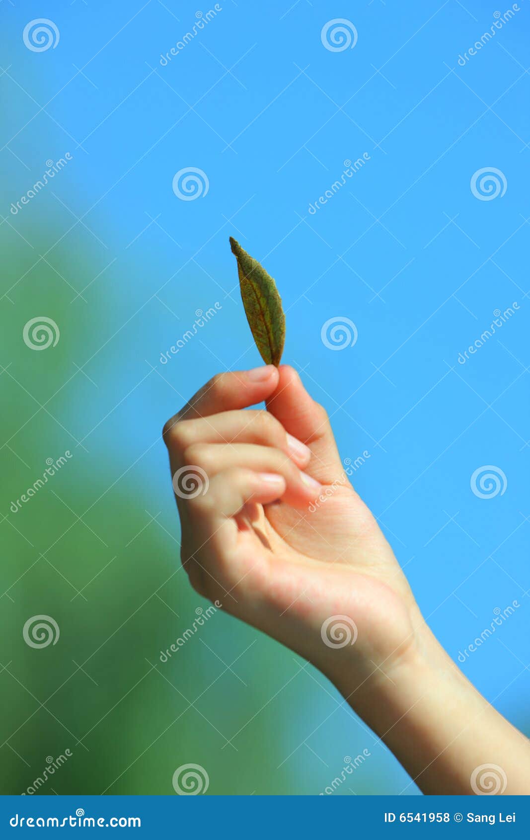 Child hand stock photo. Image of fallen, abstract, closeup - 6541958