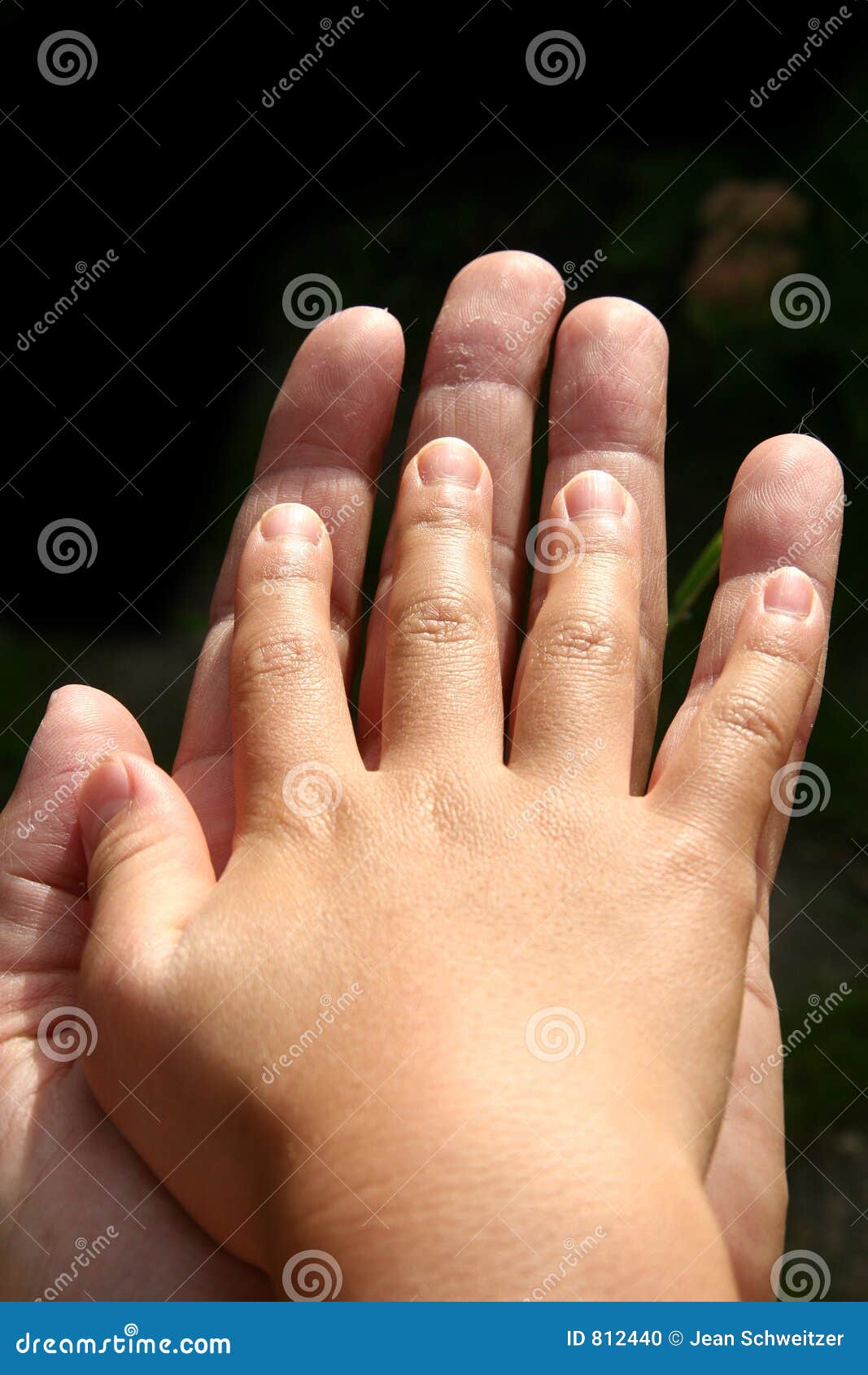 Child hand stock photo. Image of children, size, family - 812440