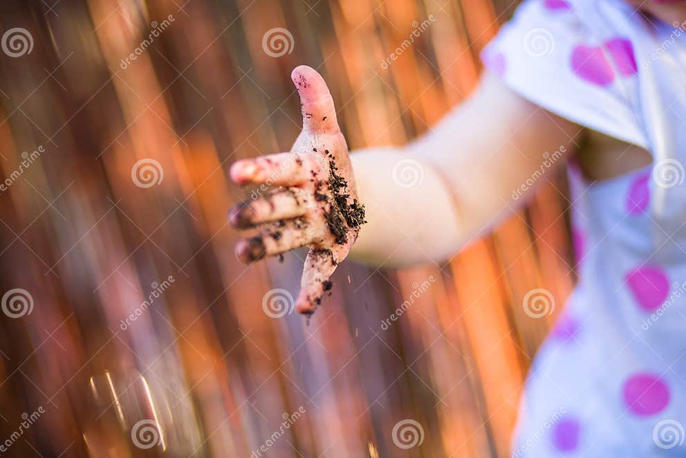 Child hand with dirt stock photo. Image of learning, love - 35887854