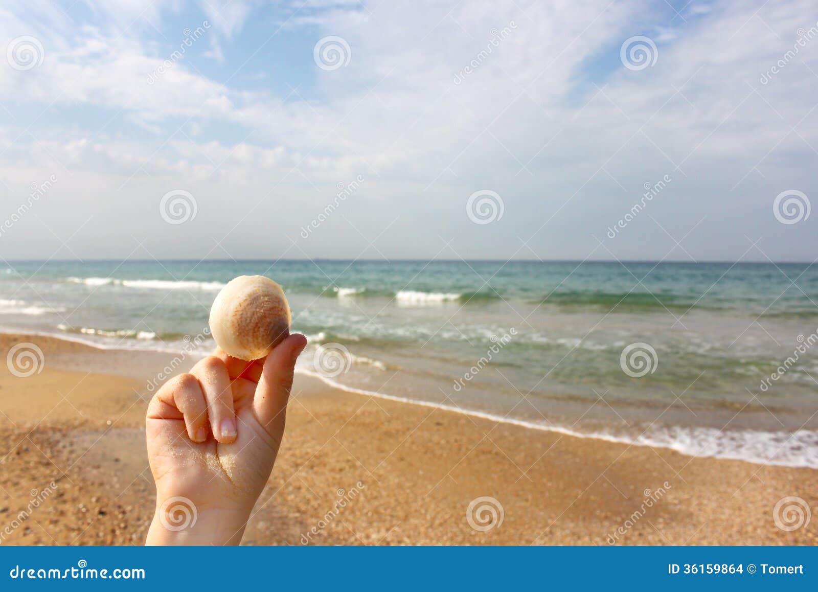 Child Hand Holding Shell in Front of Sky Stock Photo - Image of child ...