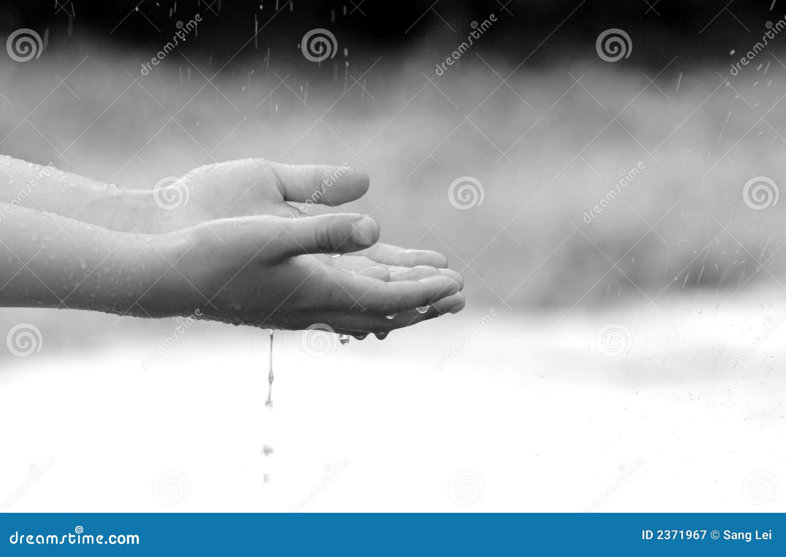 Child hand holding water stock image. Image of gardens - 2371967
