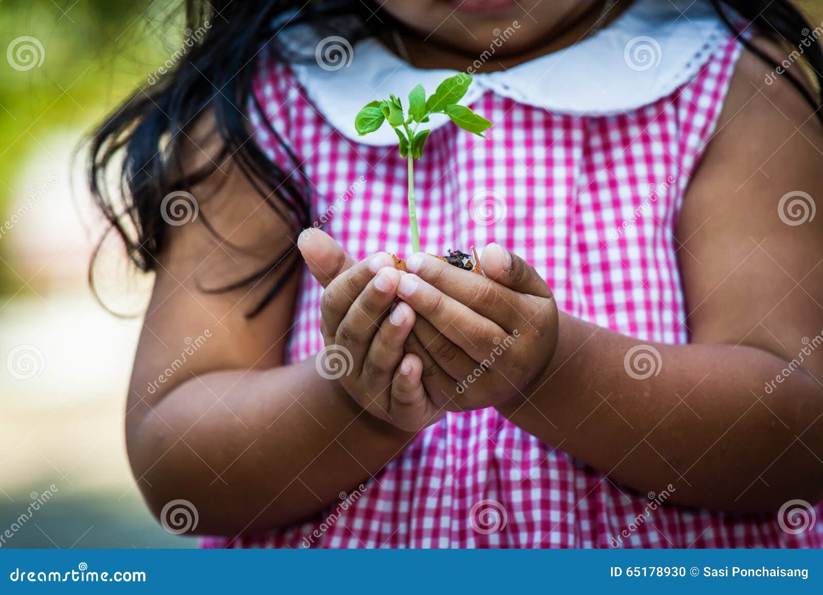 Child Hand Holding Young Tree in Egg Shell Stock Photo - Image of ...