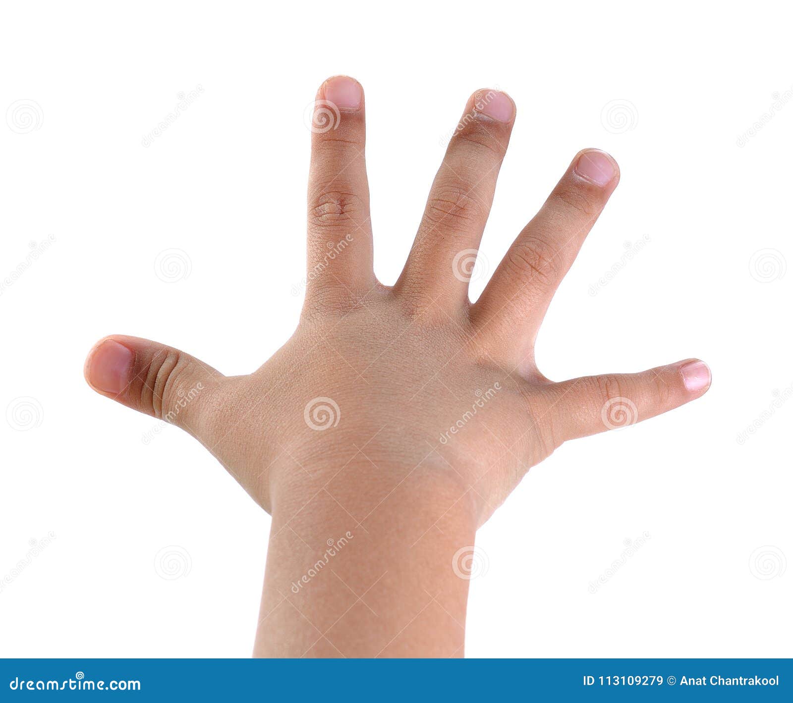 Child Hand Drawing Her Homework Stock Image | CartoonDealer.com #72329599