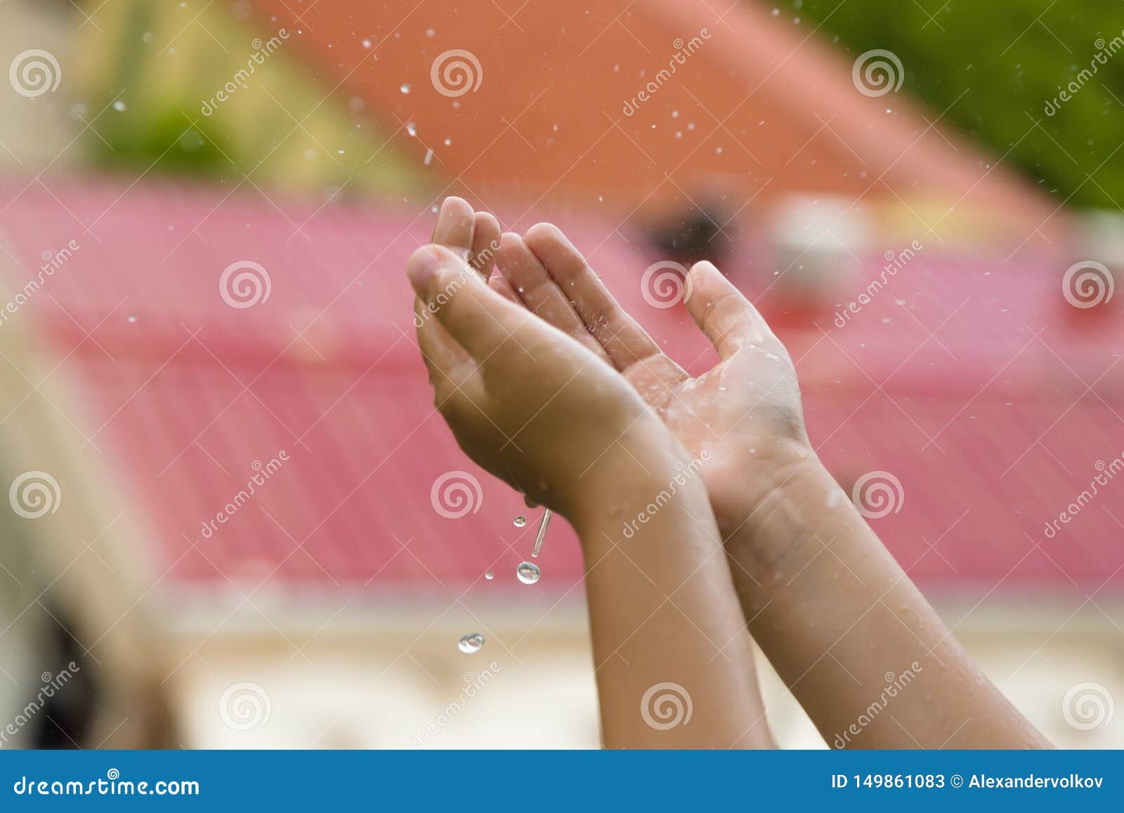 Child Hands Catching the Droplets of Rain Water Stock Image - Image of ...