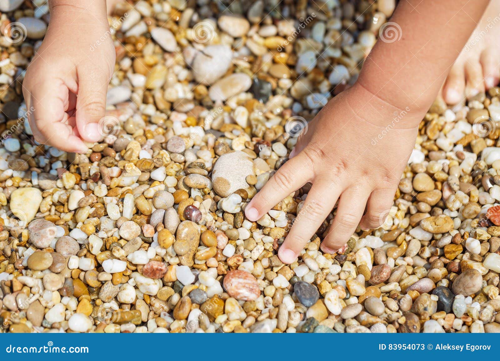 Child Hands Collect Pebbles Stock Image - Image of childhood, people ...