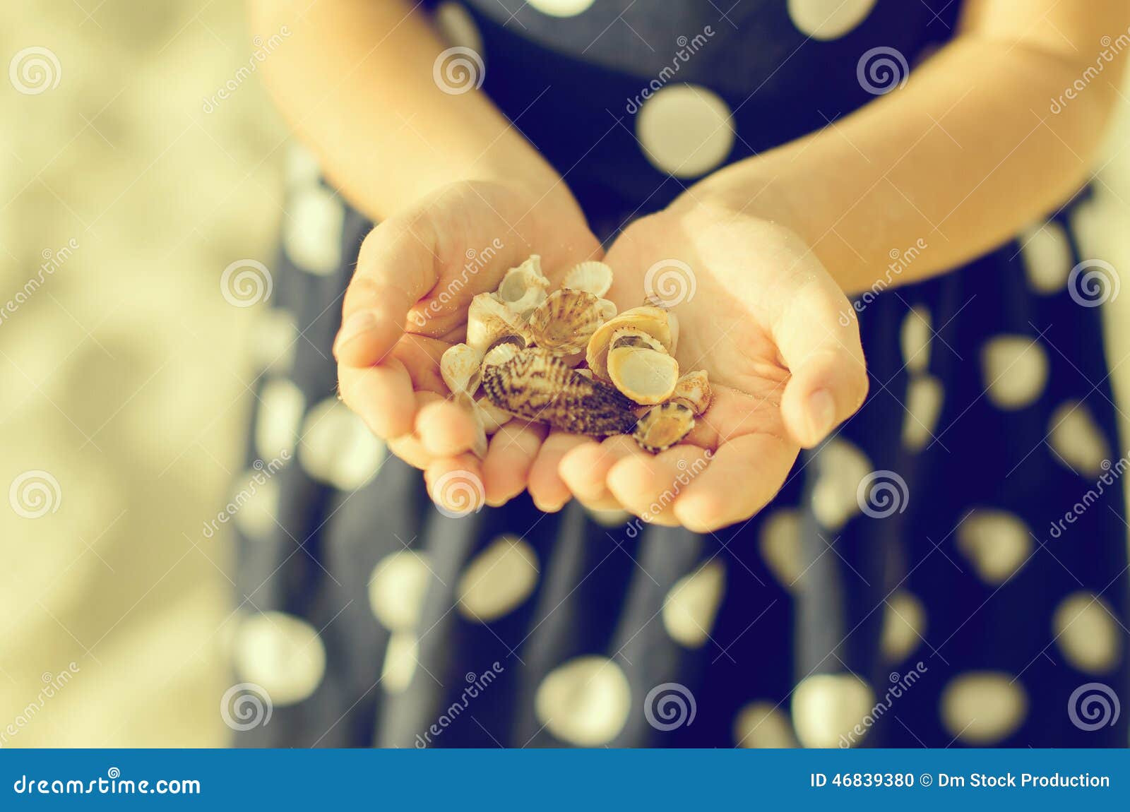 Child Hands Holding Sea Shells. Stock Photo - Image of sealife, female ...