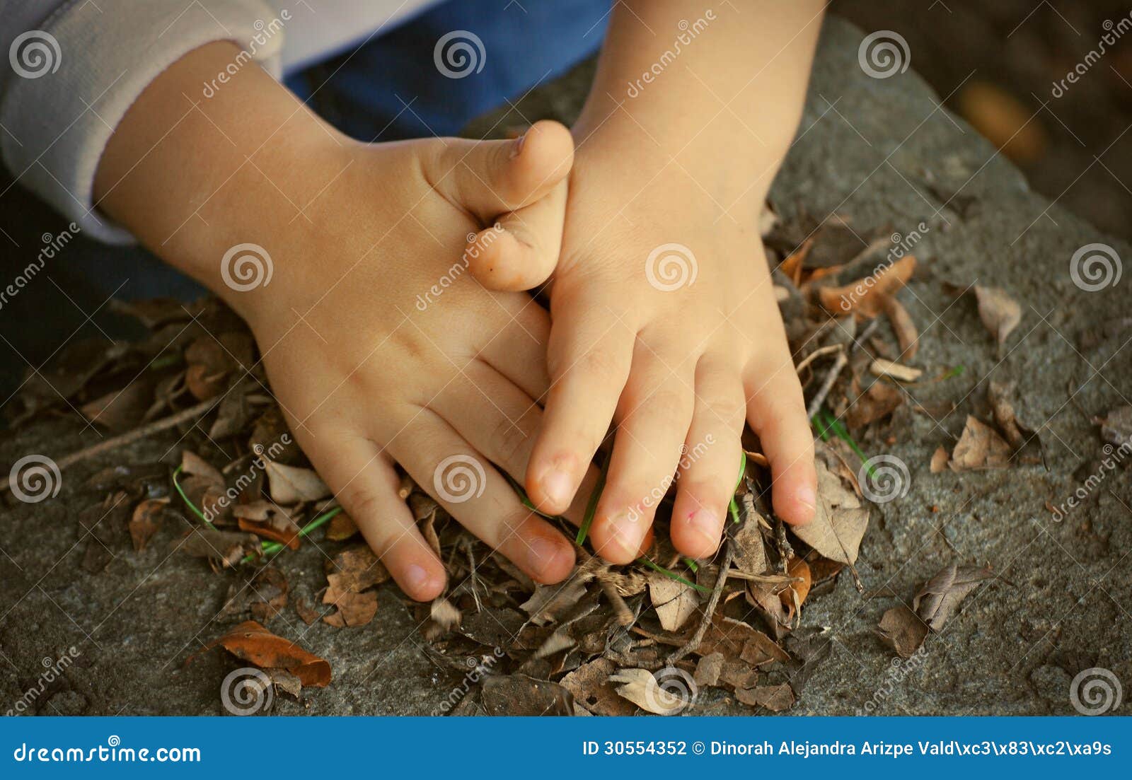 Child hands and leaves stock photo. Image of foliage - 30554352
