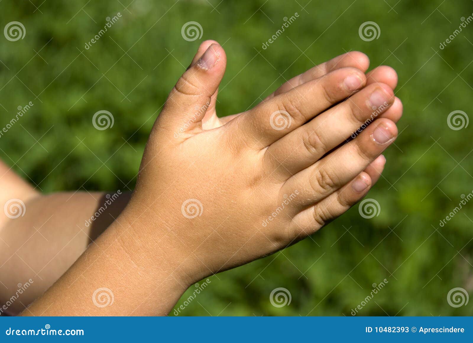 Child Hands Praying Stock Photos - Image: 10482393