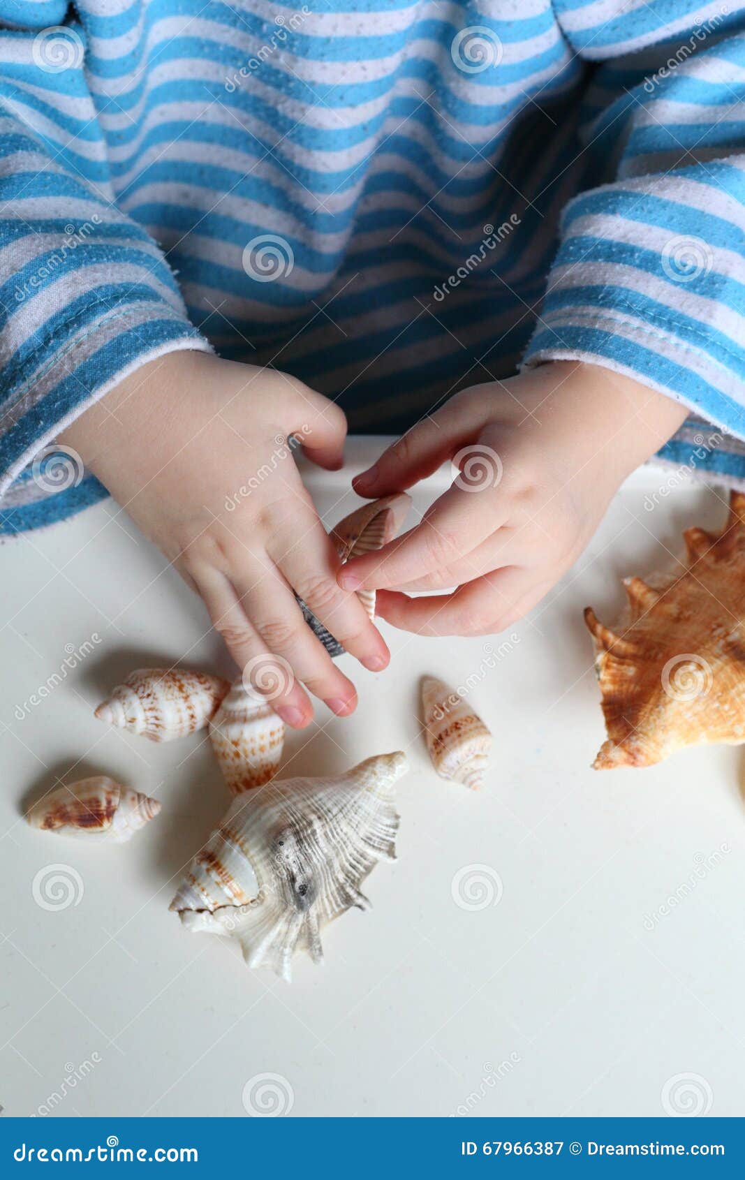 Child hands sea shell stock image. Image of learning - 67966387