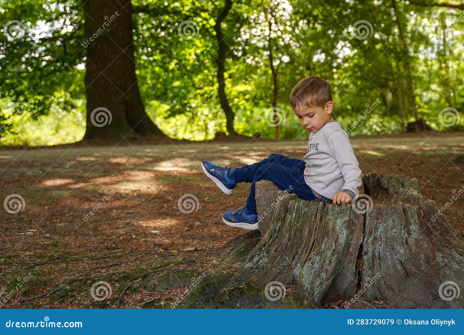 The Child Has Fun Sitting on a Stump. Stock Image - Image of happy ...