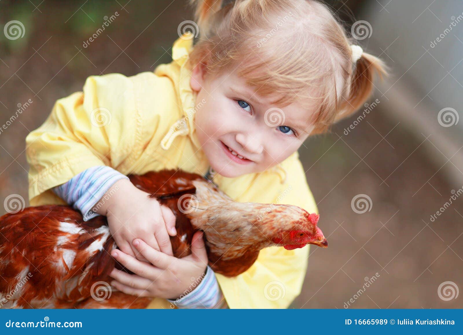 Child with hen stock image. Image of attractive, happy - 16665989