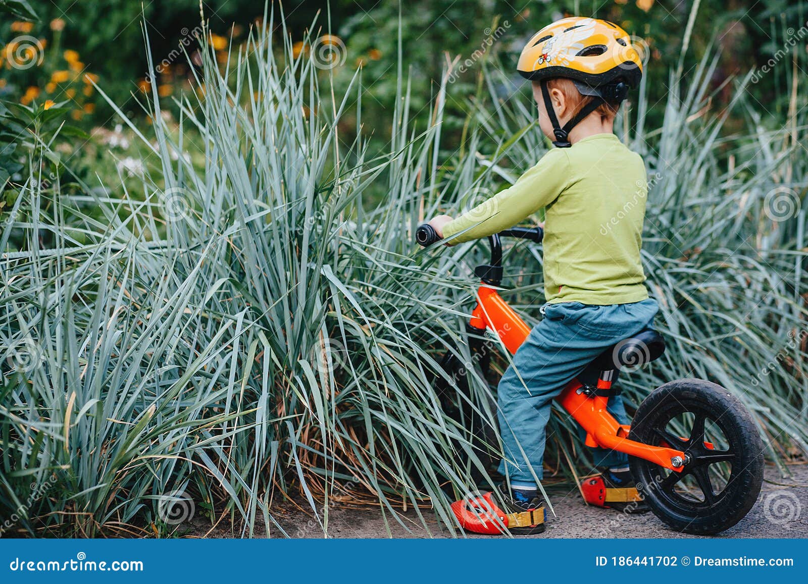 The Child on His Bicycle Drove into the Prickly Bushes. Stock Photo ...
