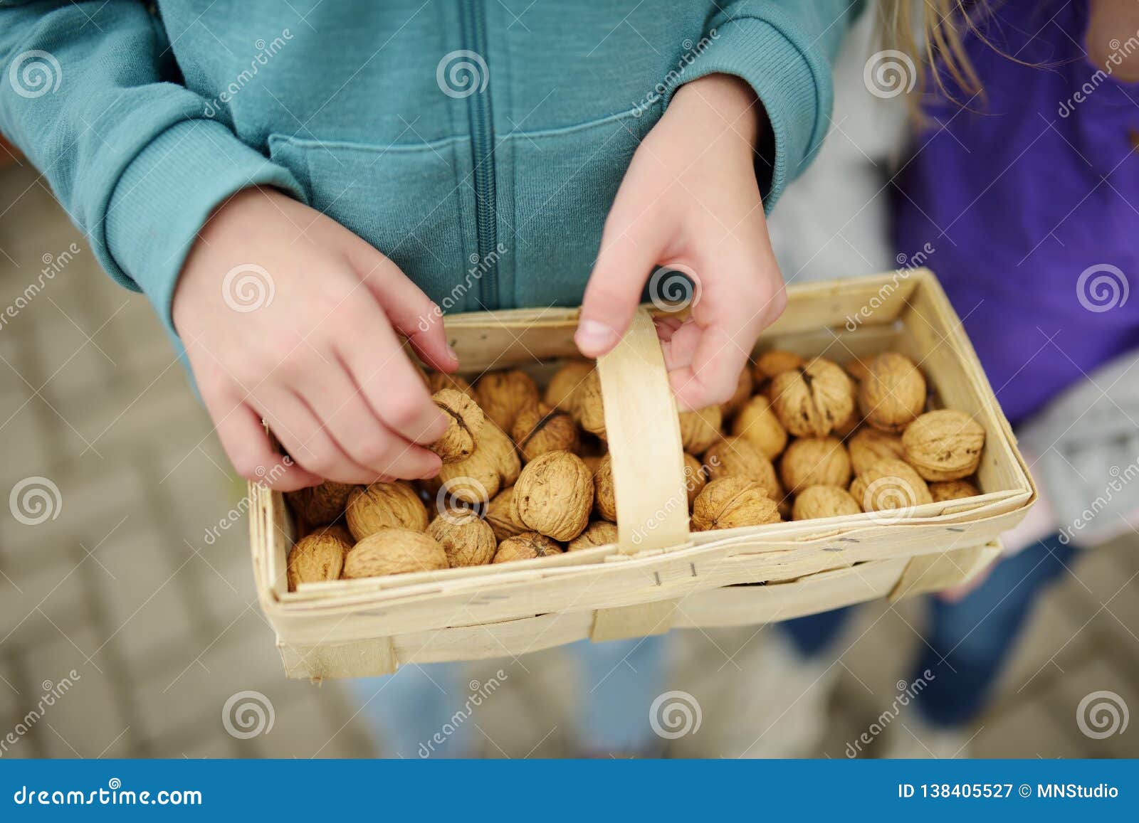 Child Holding a Basket of Fresh Walnuts Stock Image - Image of orchard ...