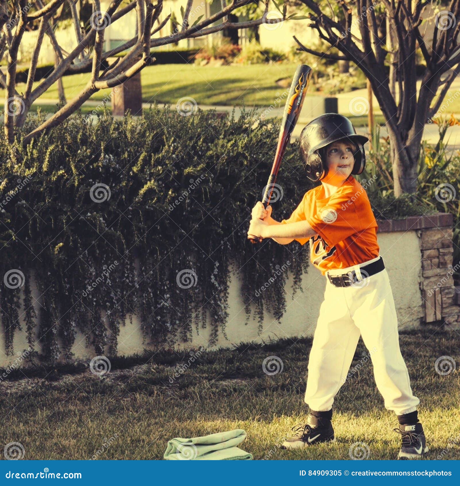 Child Holding Bat During Daytime Picture. Image: 84909305