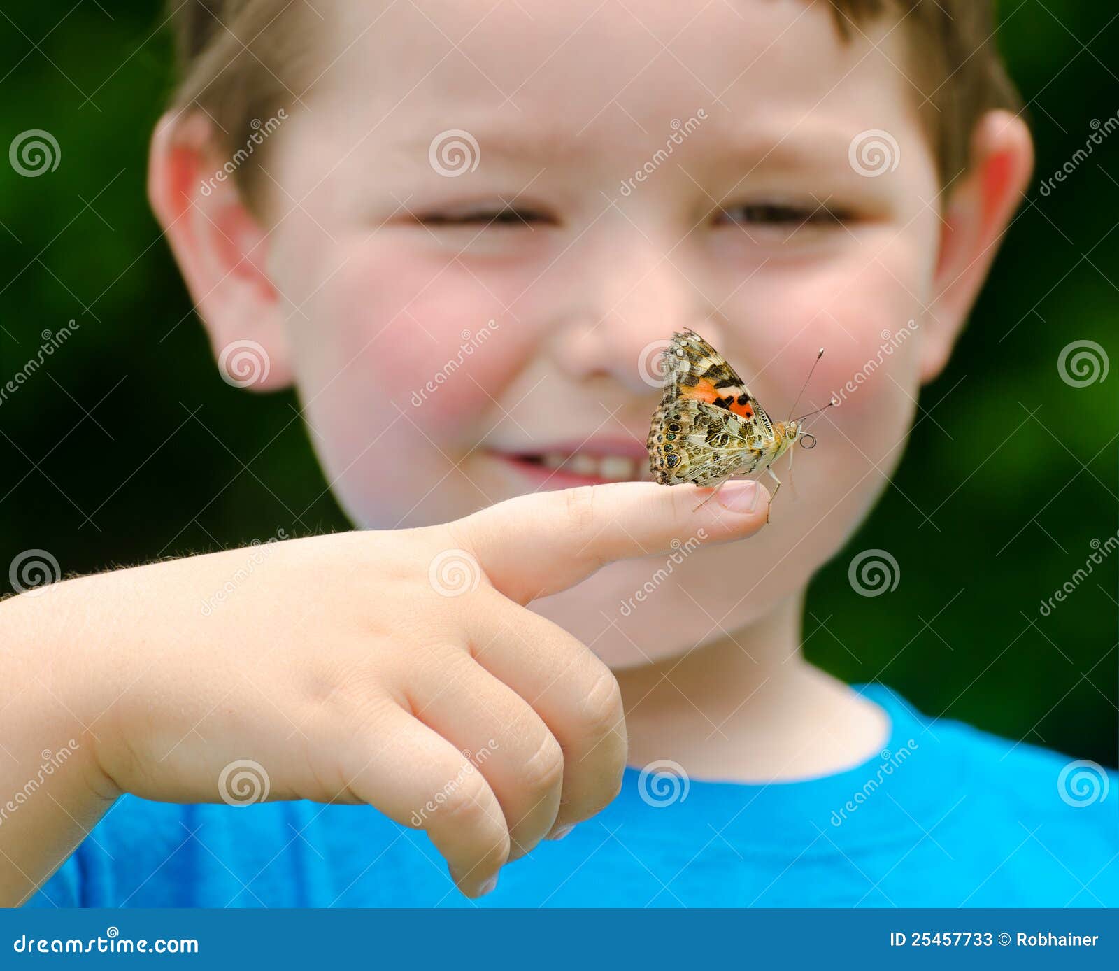 Child holding a butterfly stock image. Image of papillon - 25457733